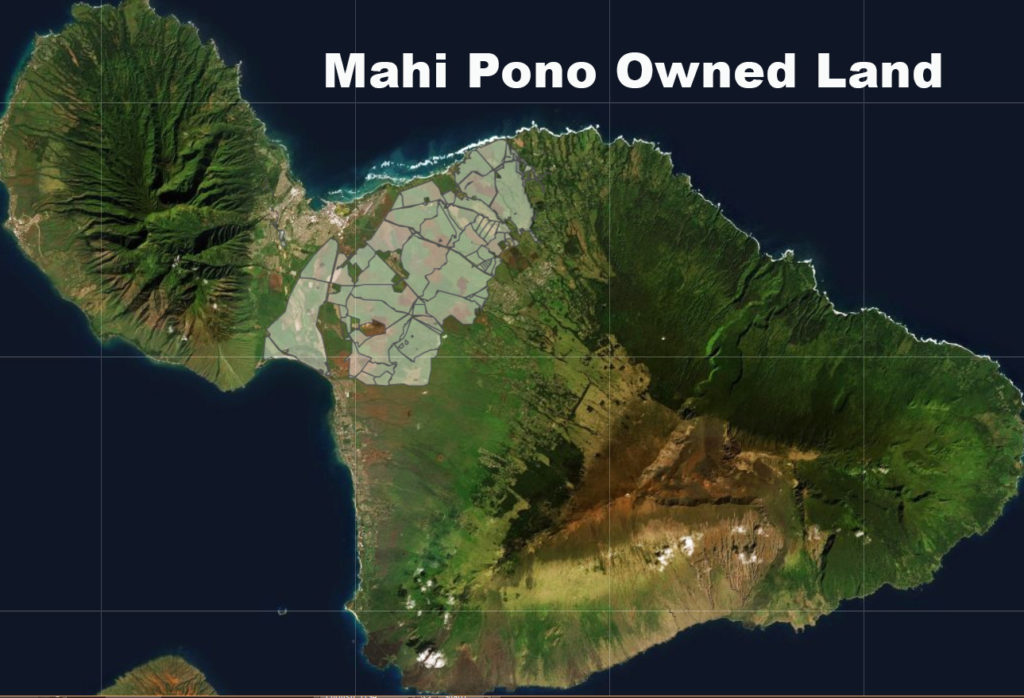 What’s Growing On at Mahi Pono - Destination Maui